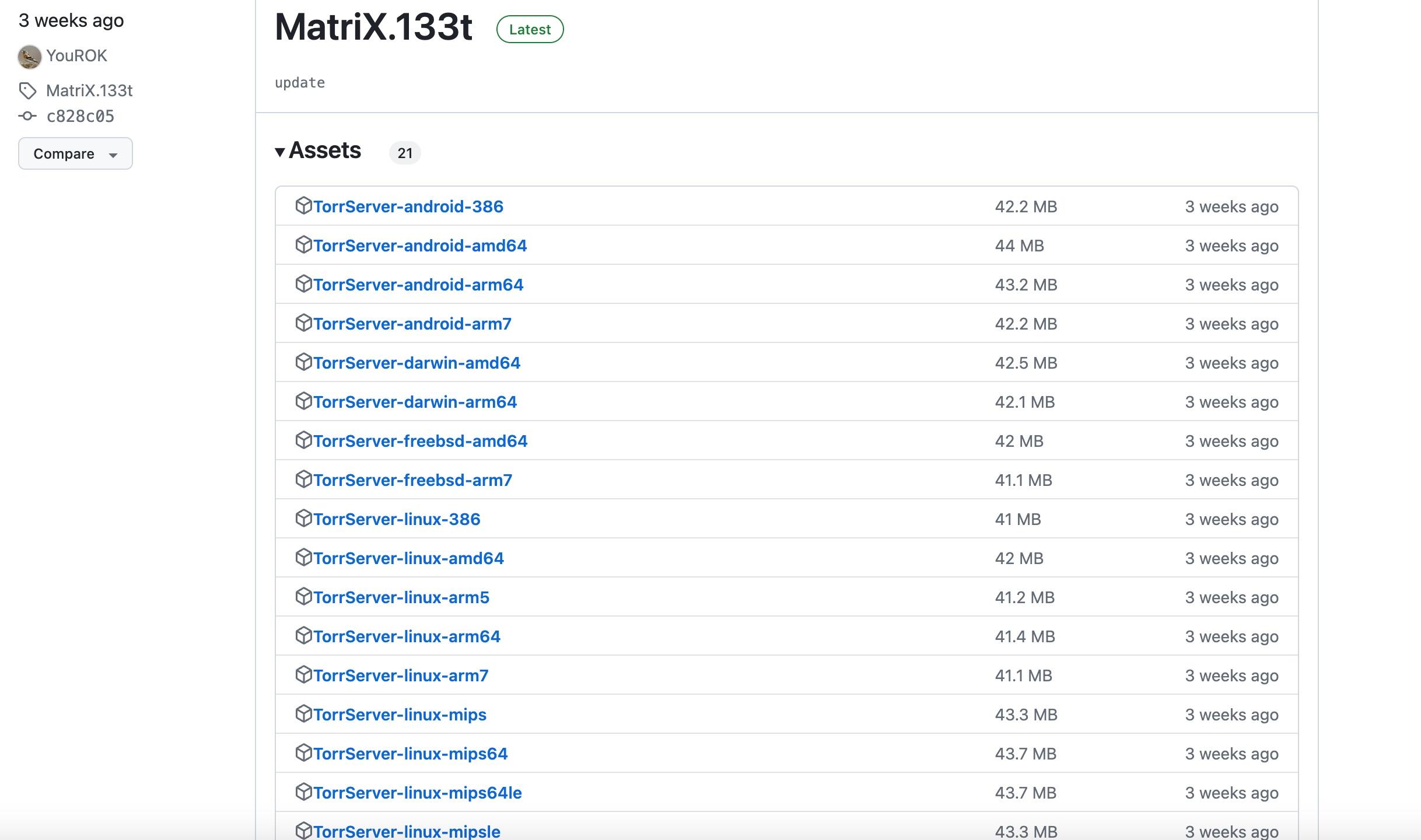 🚀 TorrServer：一个有意思的种子工具，无需下载即可直接预览种子文件内容！ | 胡萝虎的博客
