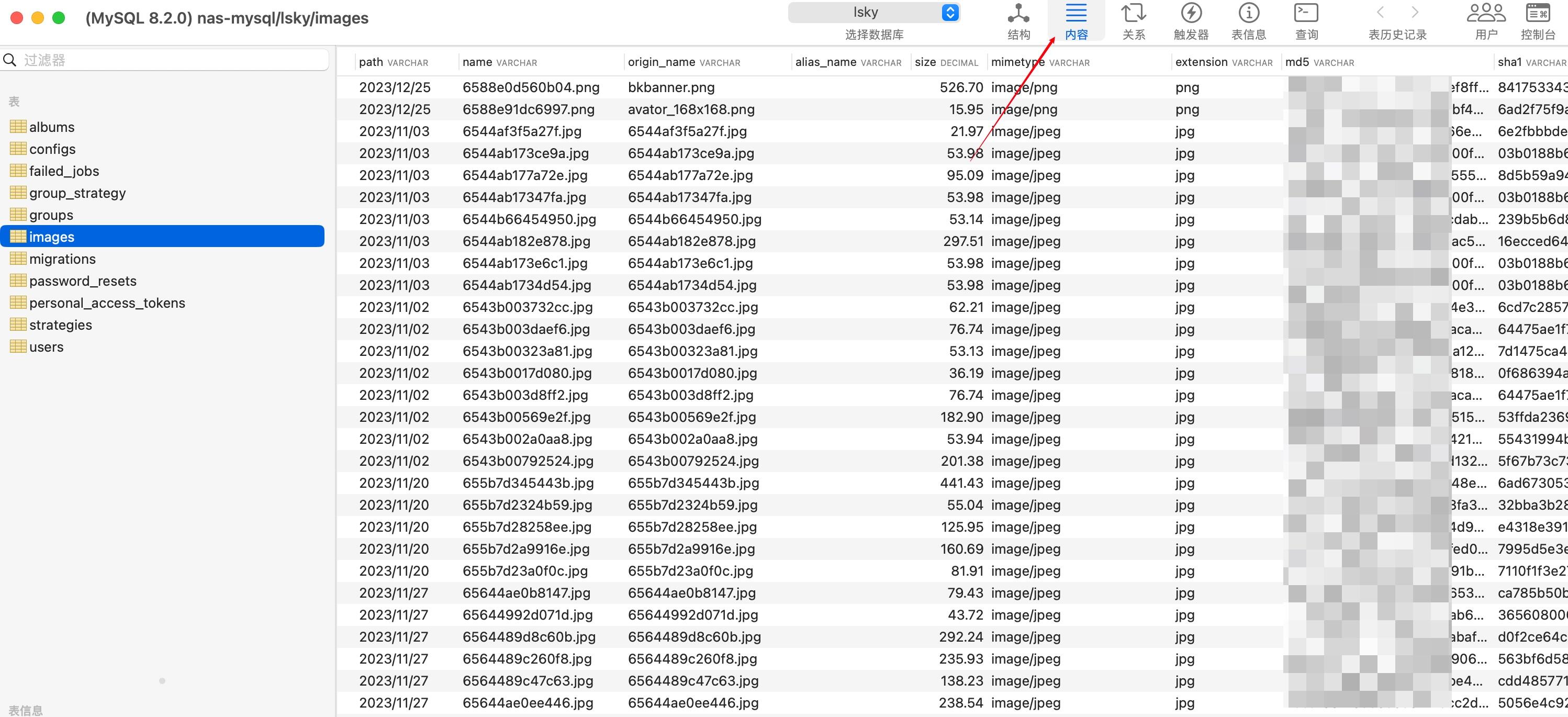 📊 Sequel Ace：要什么Nav猫，这款简单高效的数据库管理器不香吗！ - 胡萝虎的博客